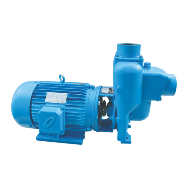 Goulds Self Priming Pumps - D.L. Thurrott