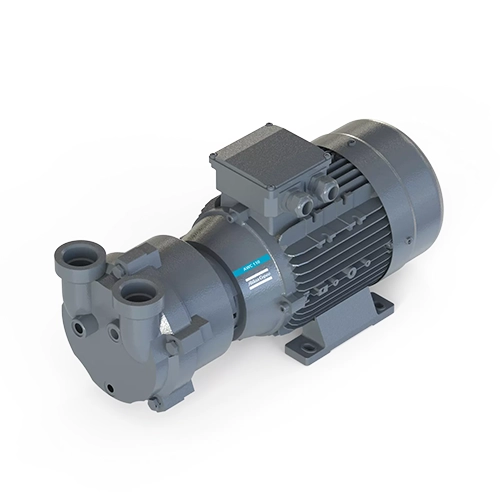 Liquid Ring Vacuum Pumps - D.L. Thurrott